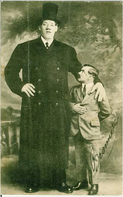 Armand Bronner | The Amazing Everything Wiki | Fandom