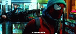 Spider-Man | Amazing Spider-Man Wiki | Fandom