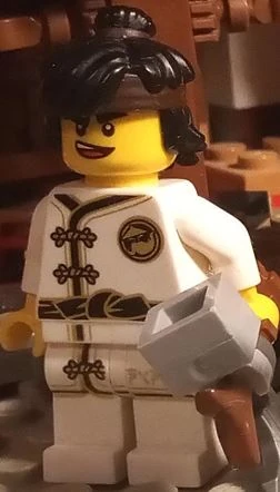 Cole | ASW321 ninjago Wiki Official Wiki | Fandom