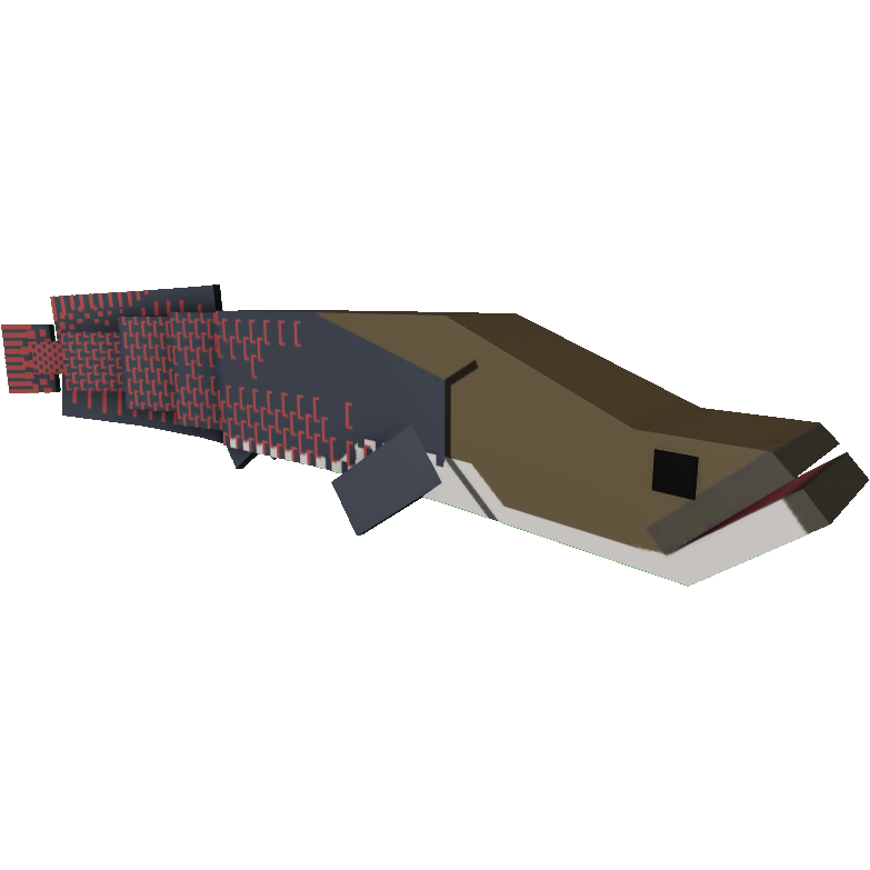Arapaima | Amazon Ascension Wiki | Fandom