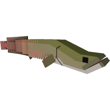 Arapaima | Amazon Ascension Wiki | Fandom