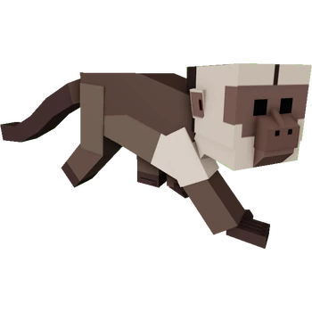 Capuchin | Amazon Ascension Wiki | Fandom