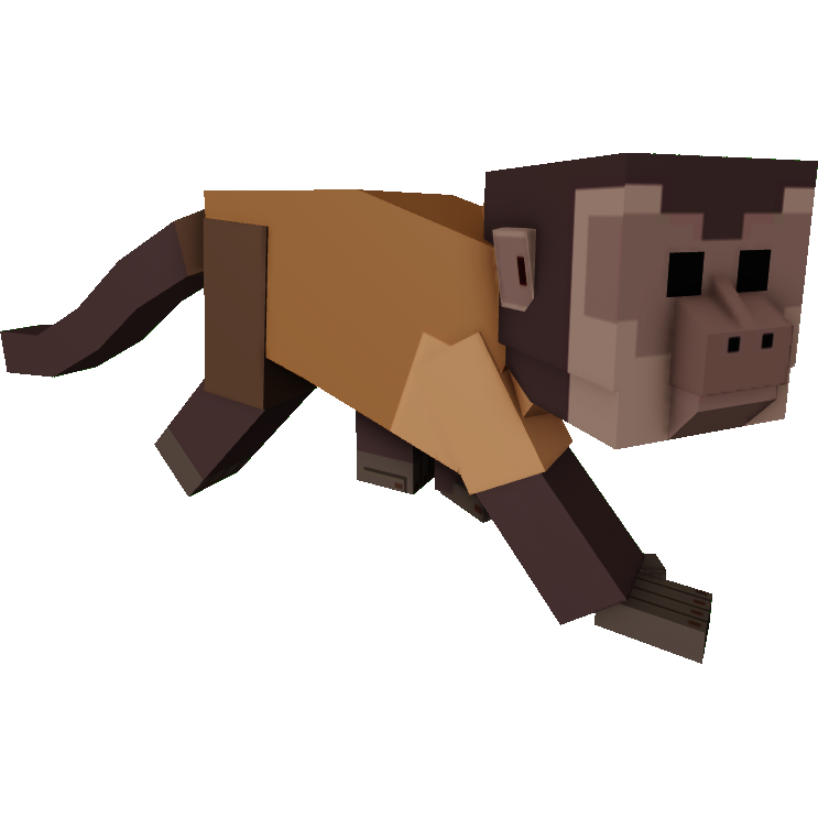 Capuchin | Amazon Ascension Wiki | Fandom