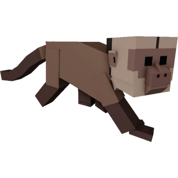 Capuchin | Amazon Ascension Wiki | Fandom