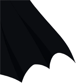 Caped Vigilante | Invincible Wiki | Fandom