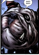 Terror | The Boys Wiki | Fandom