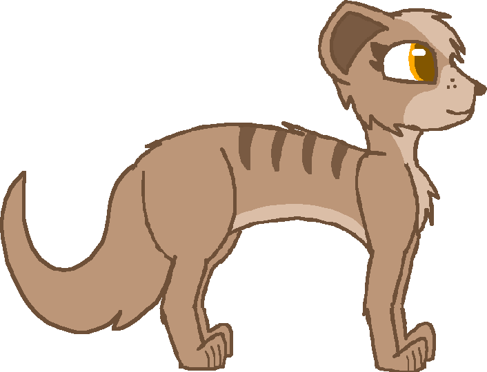 Amber (Player) | Amber Flame Wiki | Fandom