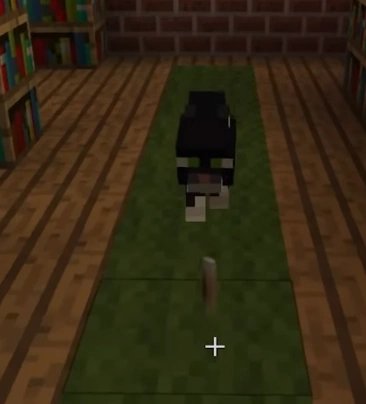 Katten Smart | Addexio's Minecraft Eventyr Wikia | Fandom