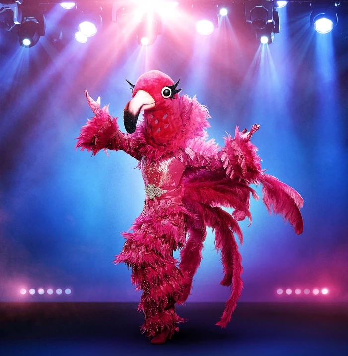 Flamingo (US) | American/Australian/British Masked Singer Wiki | Fandom