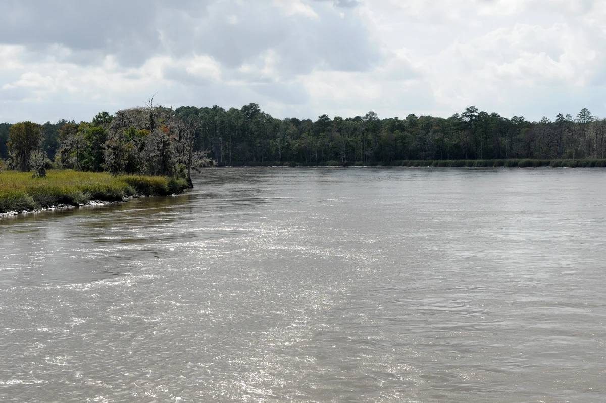 Fancy Bluff Creek | American Bridge Wiki | Fandom