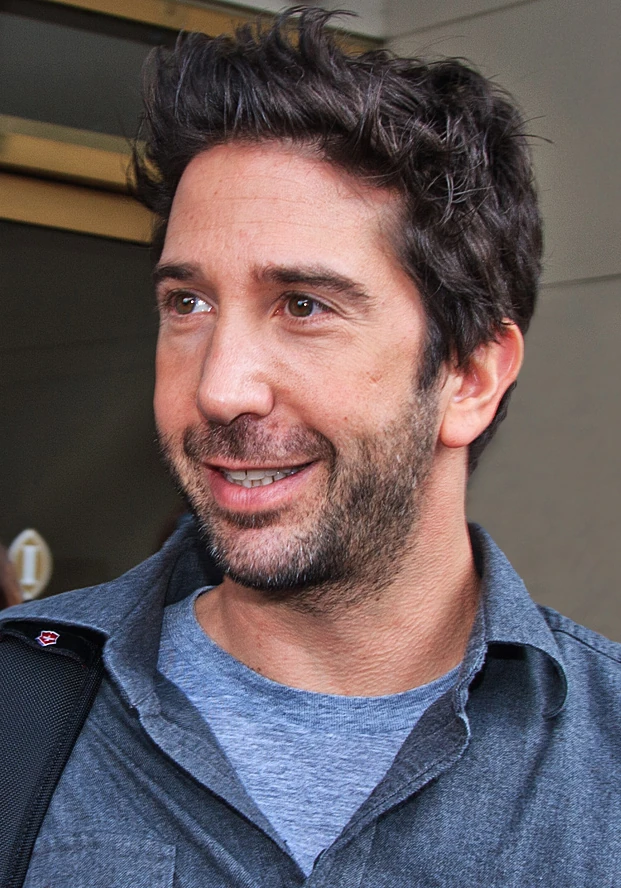 David Schwimmer | American Crime Story Wiki | Fandom
