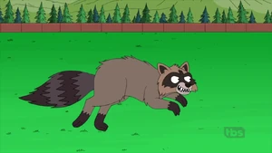 Ricky Raccoon | American Dad Wikia | Fandom