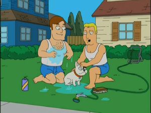Heath Ledger (dog) | American Dad Wikia | Fandom