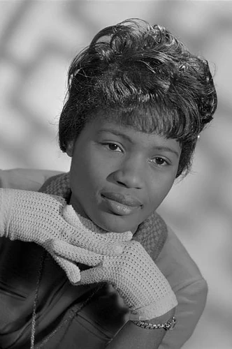 Little Eva | American Dreams Wikia | Fandom