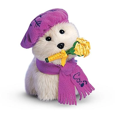 Coconut's Rinkside Accessories | American Girl Wiki | Fandom