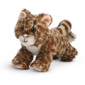 Margay Cat | American Girl Wiki | Fandom