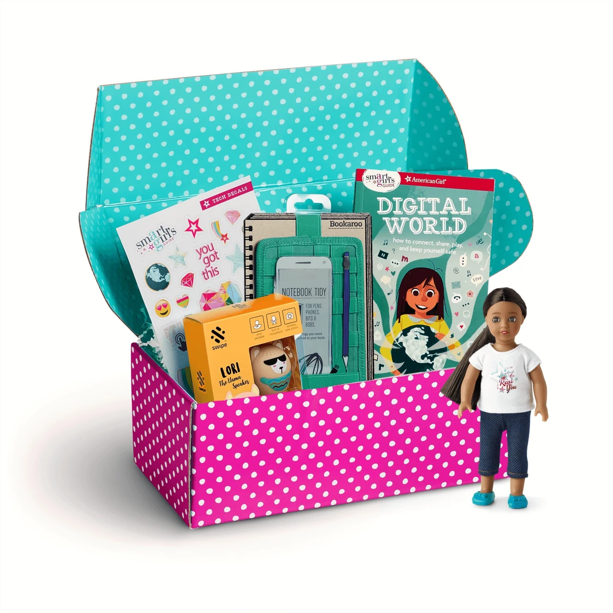 Smart Girl's Guide Kit: Digital World | American Girl Wiki | Fandom