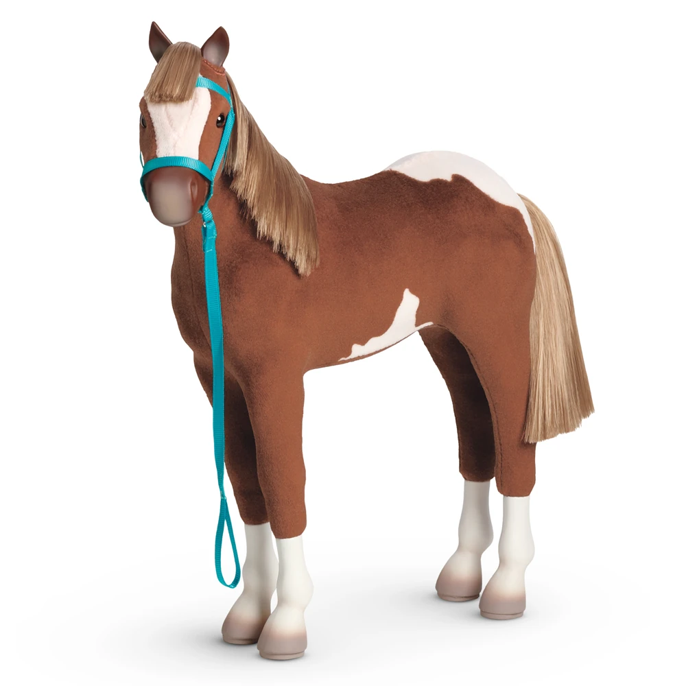 Paint Filly | American Girl Wiki | Fandom