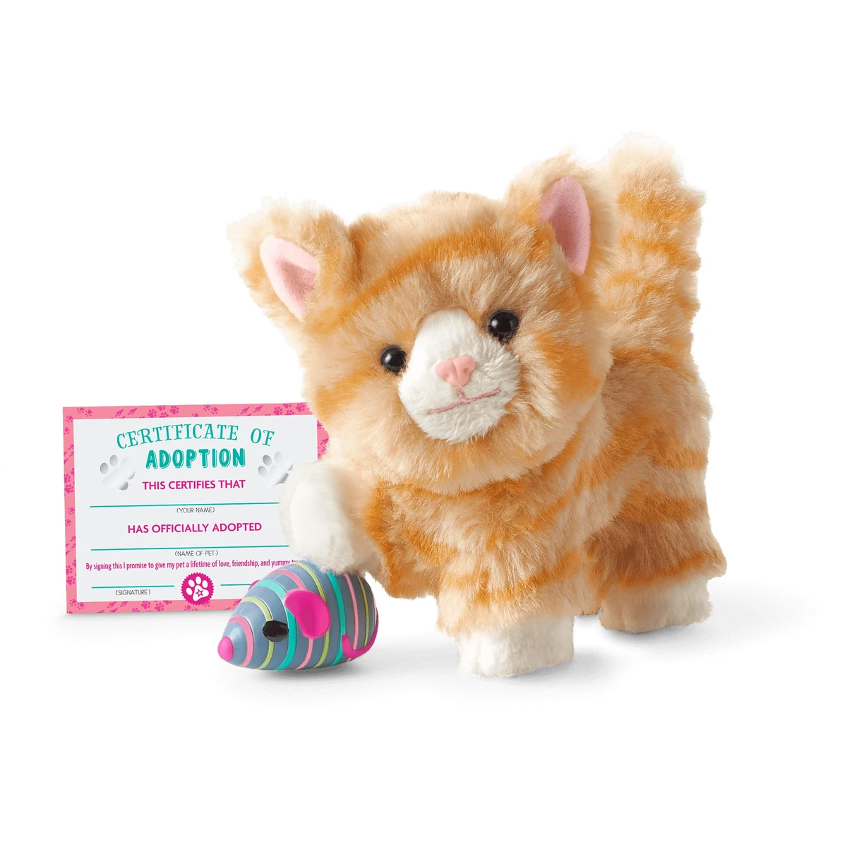 Orange Tabby Cat | American Girl Wiki | Fandom