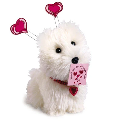 Coconut's Valentine Accessories | American Girl Wiki | Fandom