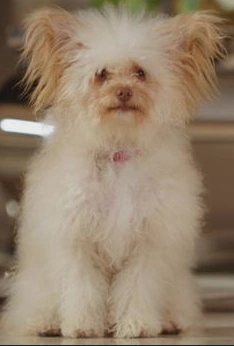 Hallie | American Horror Story Wiki | Fandom