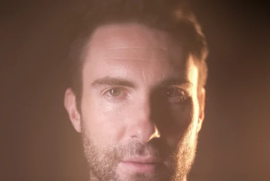 Sam Levine Adam Levines Brother