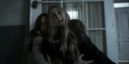 Alma Gardner | American Horror Story Wiki | Fandom