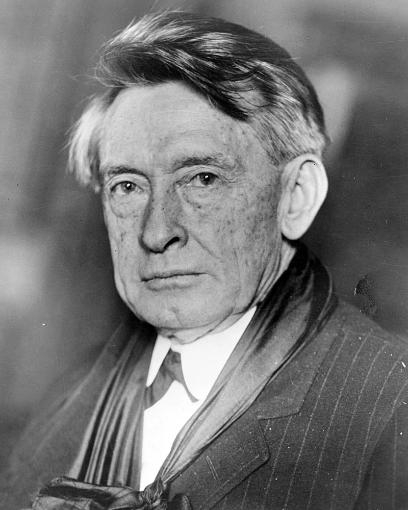 Thomas E. Watson | American Politics Wiki | Fandom