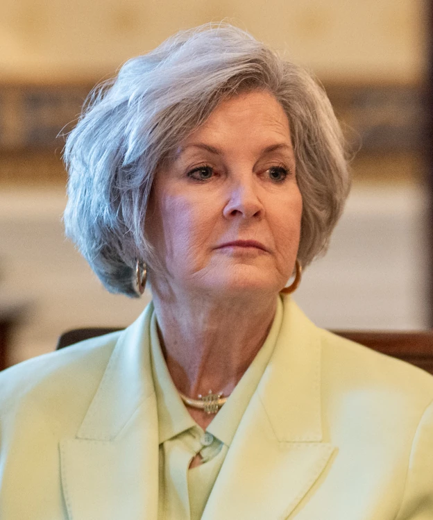 Susie Wiles | American Politics Wiki | Fandom