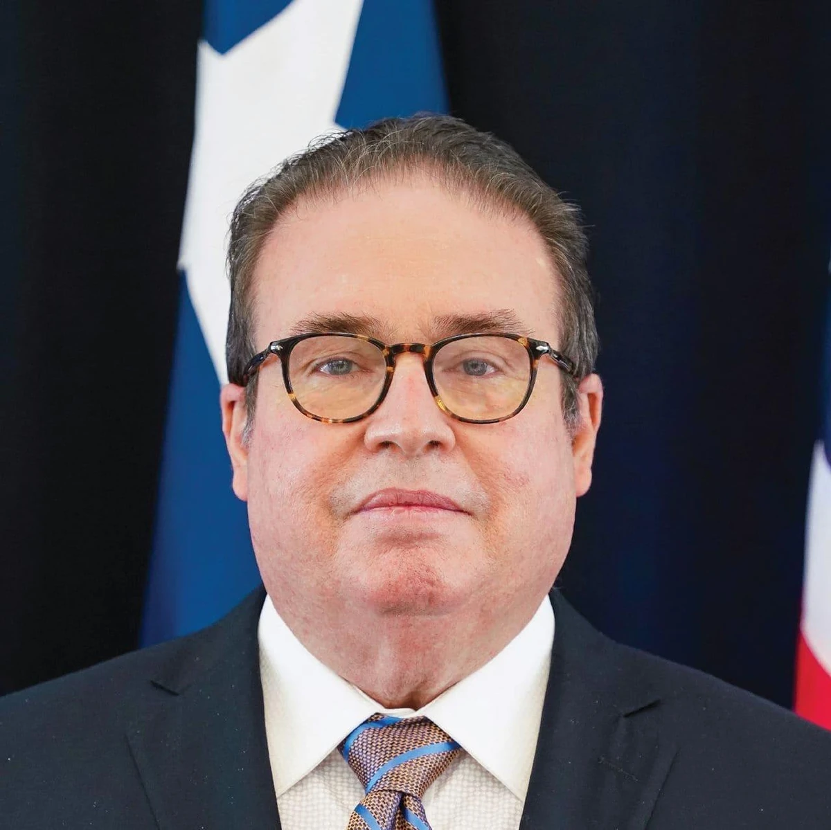 Domingo Emanuelli | American Politics Wiki | Fandom