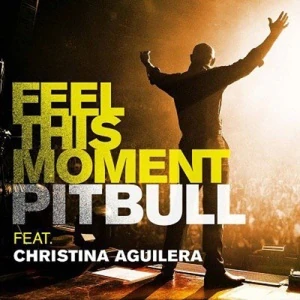 Pitbull:Feel This Moment | American Top 40 Wiki | Fandom