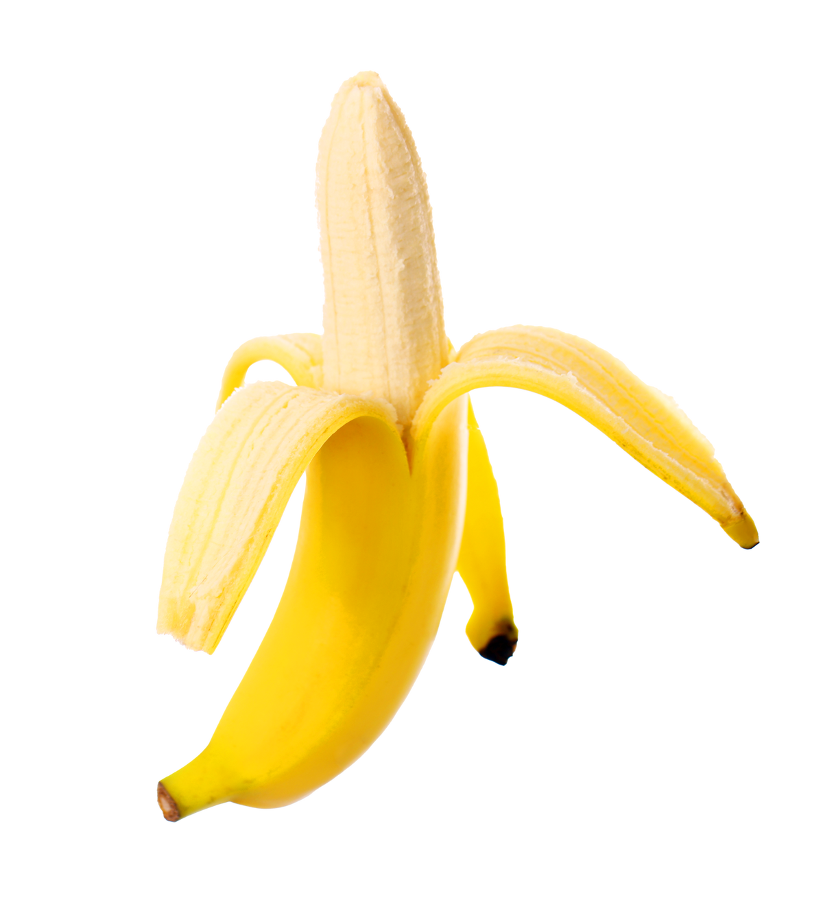 Banana | AMERICA'S NEXTBOTS Wiki | Fandom