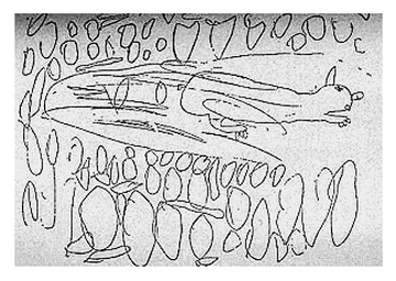 Amityville Horror Cerdo Jodie