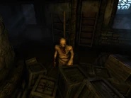 Servant Grunt | Amnesia Wiki | Fandom