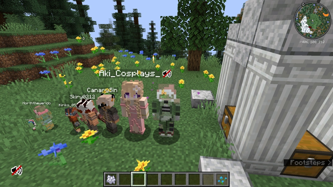 Pictures | Amnesiacs SMP Wiki | Fandom