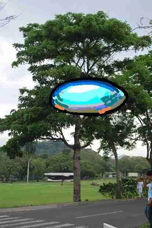 Amugis | Amogus Wiki | Fandom