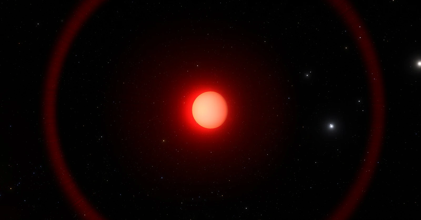 Discuss Everything About Amogus Wiki | Fandom