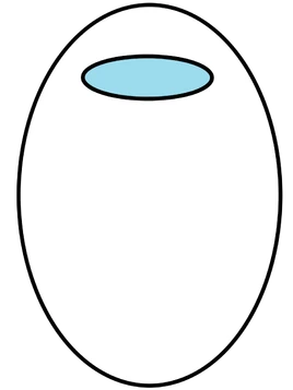 Amogus | Amogus Wiki | Fandom