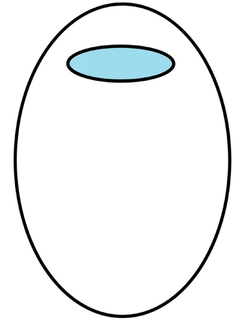 Amogus | Amogus Wiki | Fandom