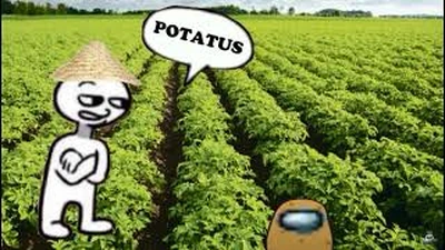 Discuss Everything About Amogus Wiki | Fandom