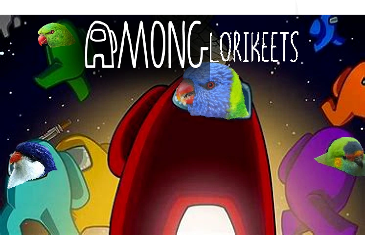 Among Lorikeets | Among Us Fanon Wiki | Fandom