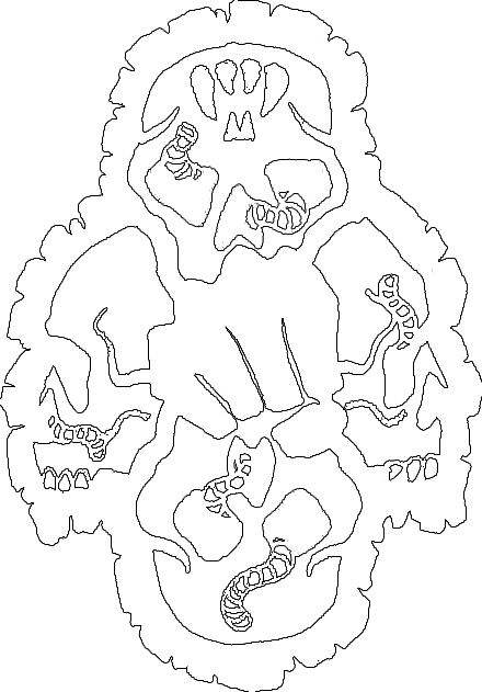 Nosferatu | Amongst the Ruins Wiki | Fandom