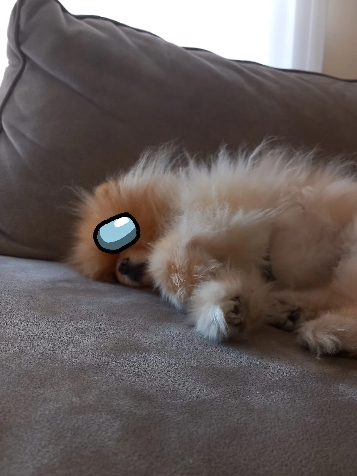 Category:Cute | Amongus fictional entities Wiki | Fandom