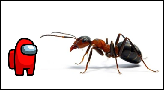 Tinymogus | Amongus fictional entities Wiki | Fandom