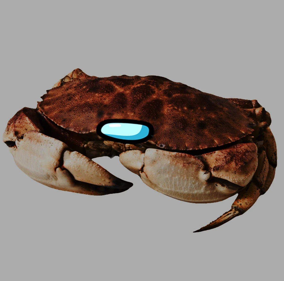 King Crabus | Amongus fictional entities Wiki | Fandom