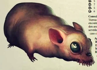 Zoog | Wiki Amor de Otro Mundo | Fandom