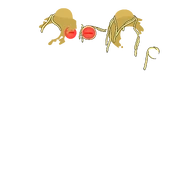 Cloak-Bot/Designs | Amphibia Wiki | Fandom