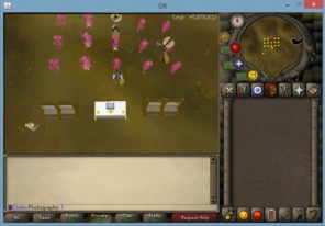 Donator Rank | Amuliusrsps Wikia | Fandom