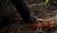 Malachai Parker | Bloodlines Wiki | Fandom