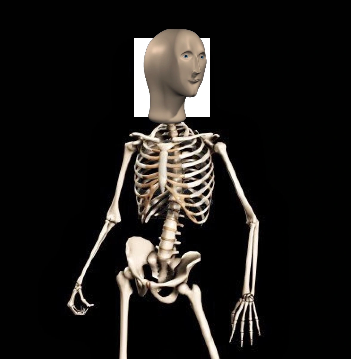 God of memes | An Epic Wiki | Fandom